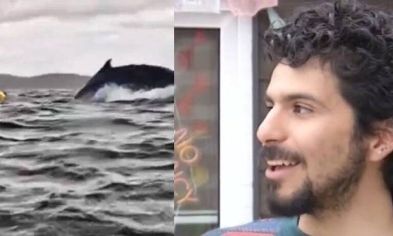 Venezolano se lo tragó una ballena y lo volvió a escupir