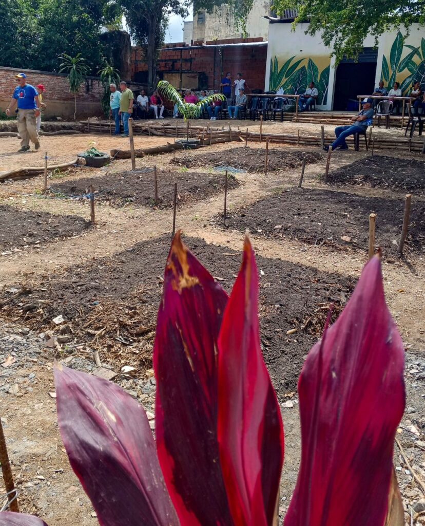 Consermuca inicia temporada de recitales 2025-2026